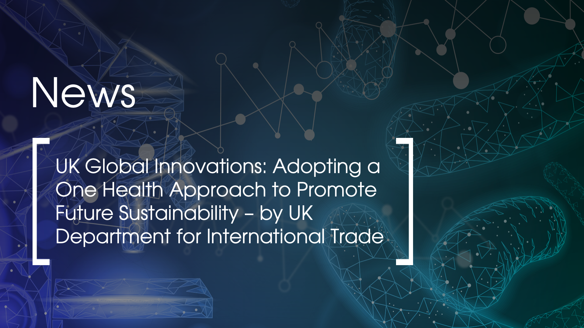 UK Global Innovations: Adopting a One Health Approach to Promote Future ...